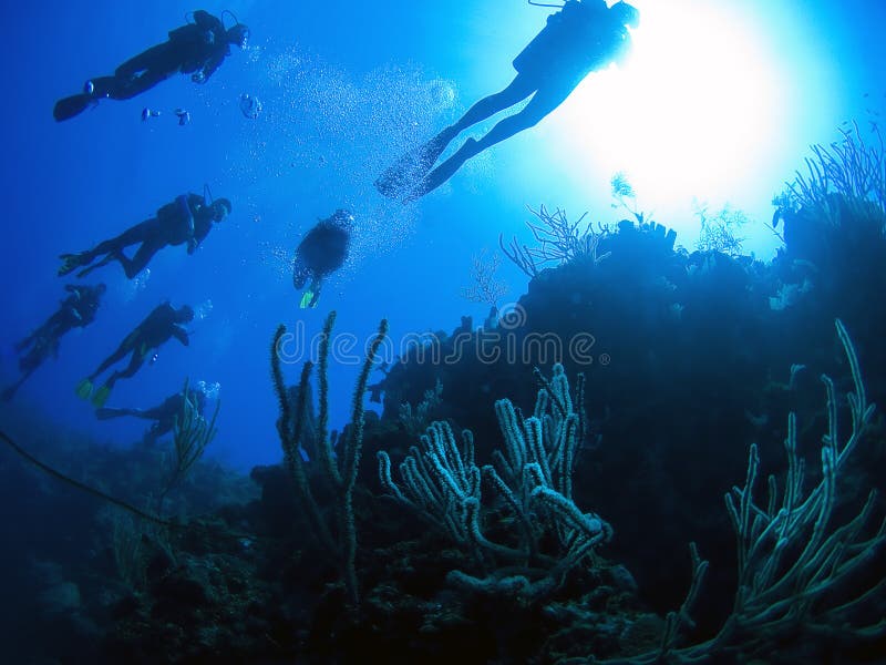 Underwater Scuba Diver Group Stock Photo - Image of diving, dive: 9350874