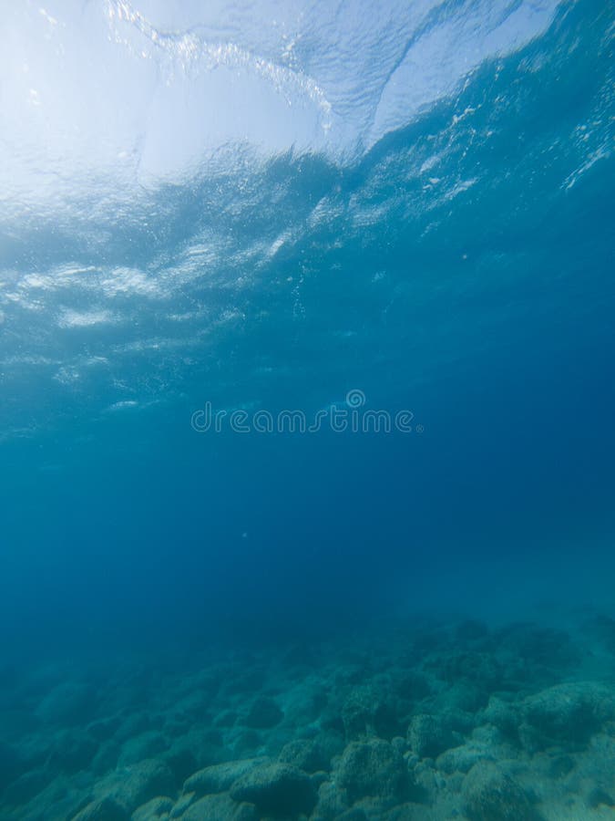 Underwater Sea Bottom Landscape Stock Image - Image of landscape ...