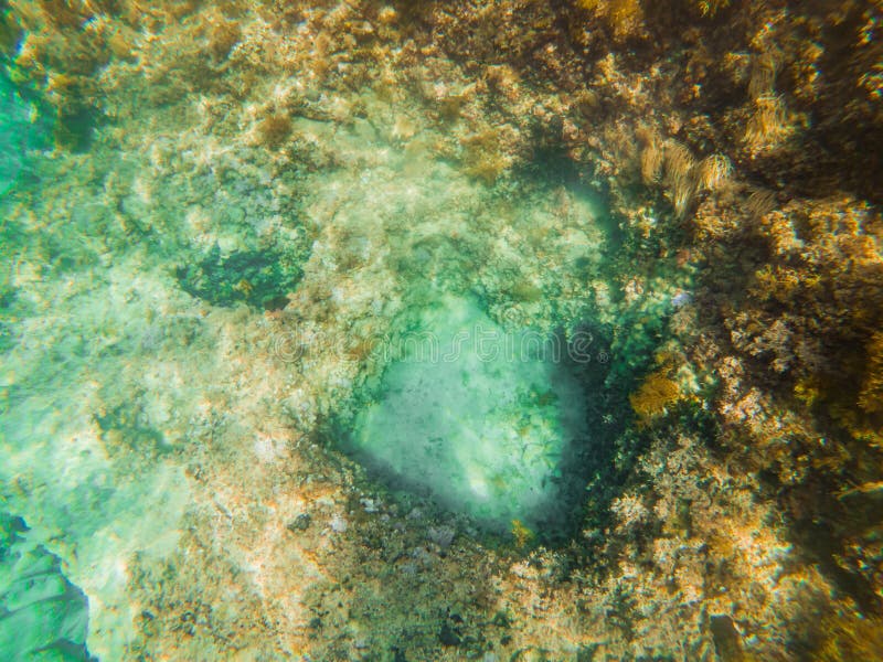 Underwater sea bottom view stock photo. Image of light - 193852784