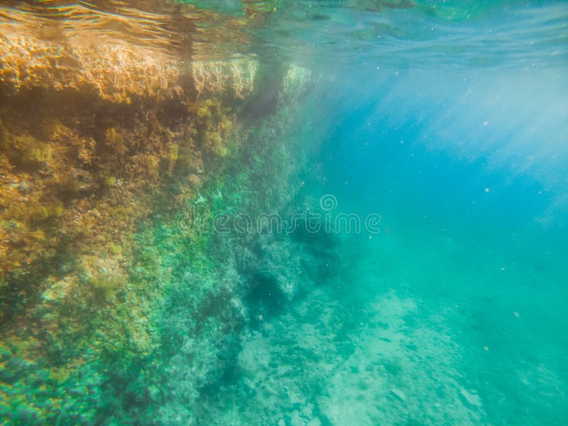 Underwater sea bottom view stock photo. Image of summer - 209787336