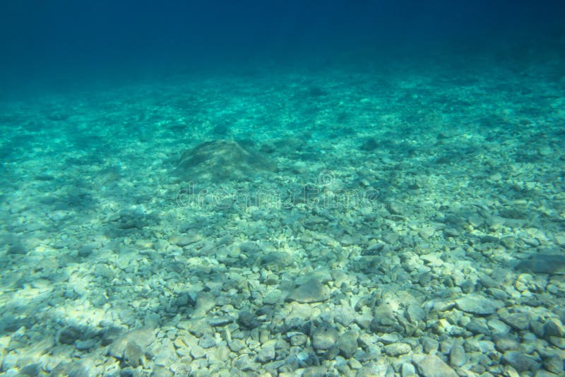 Underwater Sea View Background Stock Image - Image of texture, undersea ...