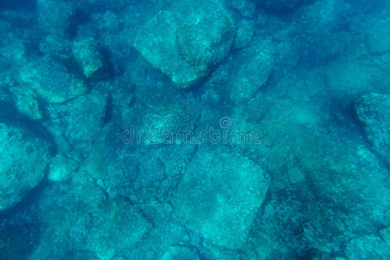Underwater Seabed with Sunlight Stock Photo - Image of gradient ...