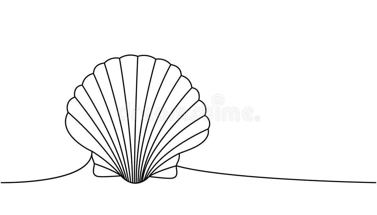 Conch Shell Continuous Line Drawing Stock Illustrations – 64 Conch ...