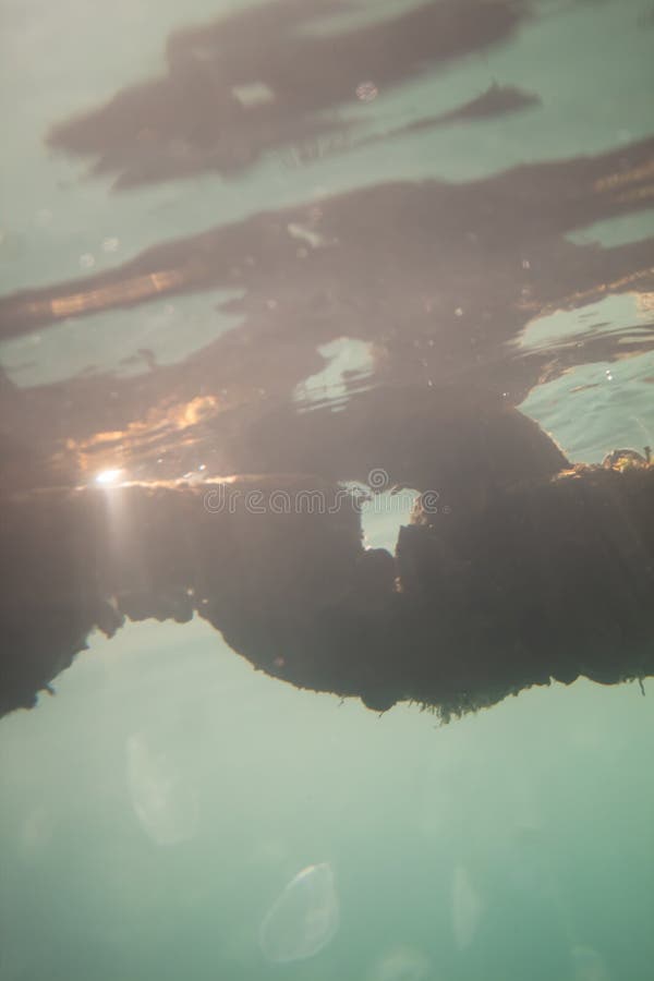 The Underwater Ship Chain is Covered with Algae. the Rays of the Sun ...