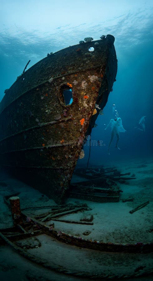 Underwater Shipwreck with Divers Stock Image - Image of archeology ...