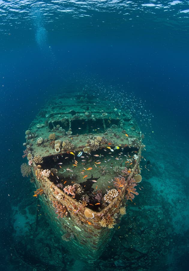 Underwater Shipwreck with Vibrant Coral Reef and Fish in Clear Ocean ...