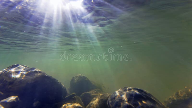 Underwater Shot of the Bottom of a River Where the Sun S Rays of Light ...
