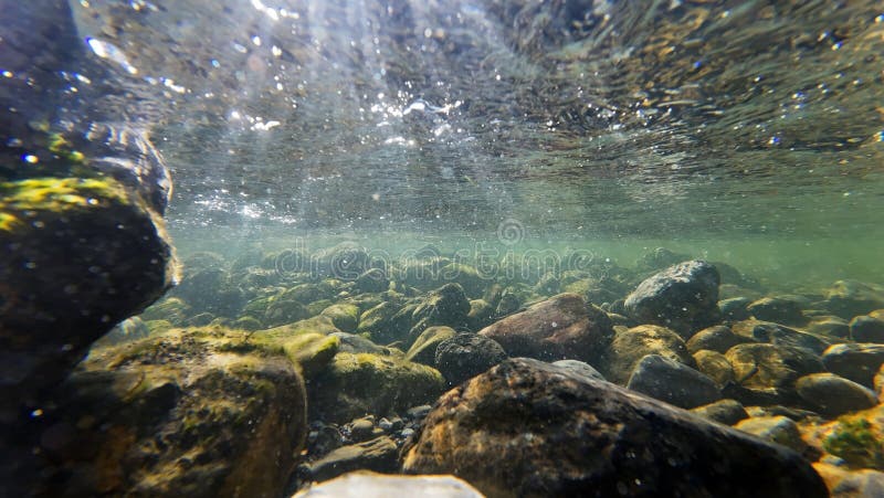 Underwater Shot of the Bottom of a River Where the Sun S Rays of Light ...