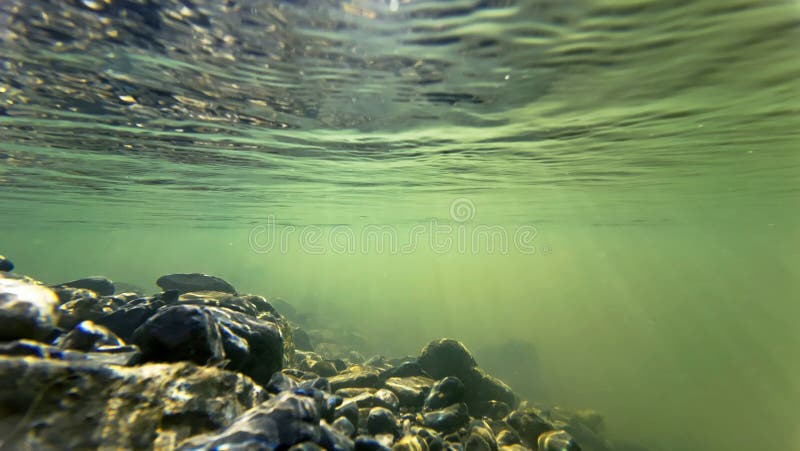 Underwater Shot of the Bottom of a River Where the Sun S Rays of Light ...