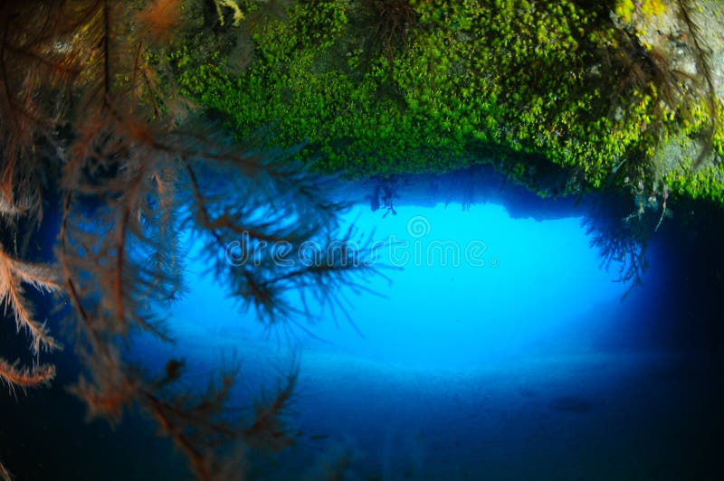 Underwater Shot from Cave Diving in Cabo Verde Stock Image - Image of ...