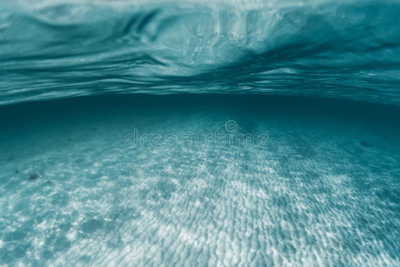 Underwater stock photo. Image of underwater, bottom, surface - 76616710