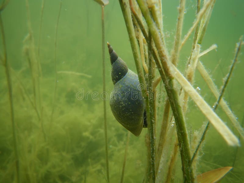 Perfect Wave Sea Blue White Stock Photo - Image of hollow, pitching ...