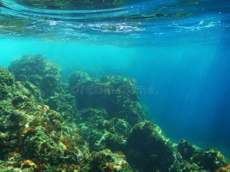 Underwater stones stock image. Image of background, sunny - 7138583