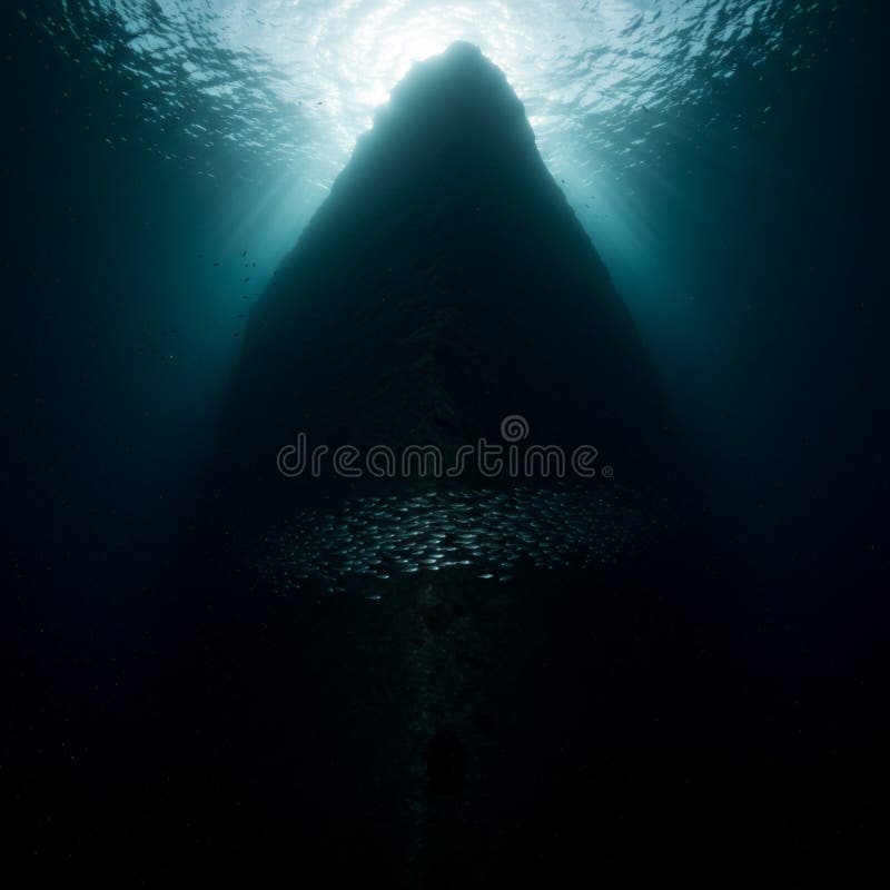 Underwater Sunlight Illuminates Dark Ocean and Fish School Stock ...