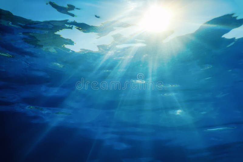 Underwater Sunlight Wallpaper