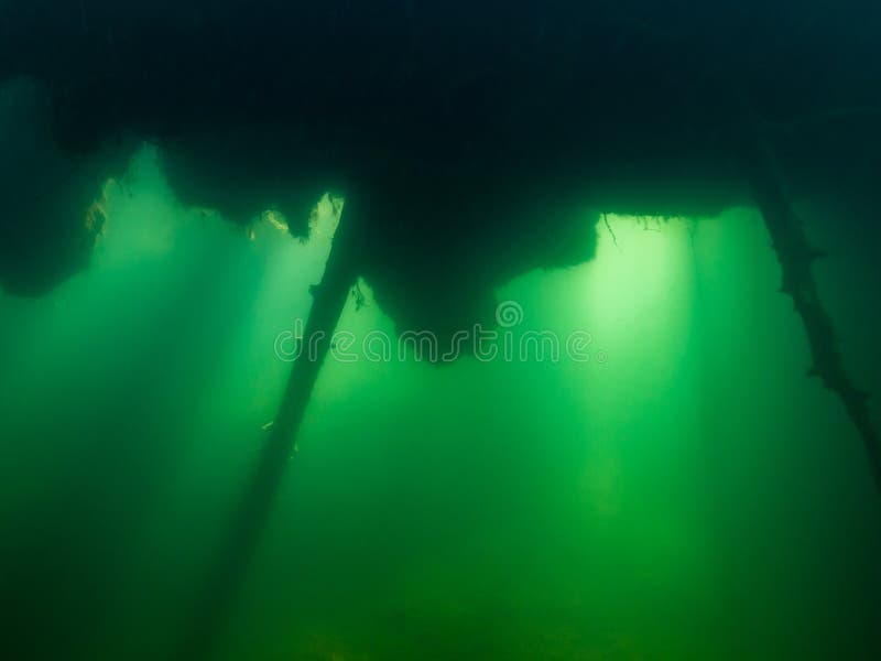 Underwater Sunrays Below Floating Peat Layer at Bog Lake Stock Image ...