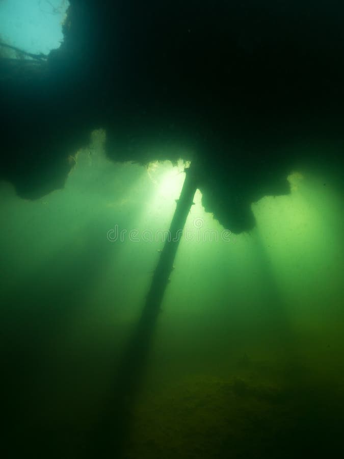 Underwater Sunrays Below Floating Peat Layer at Bog Lake Stock Image ...