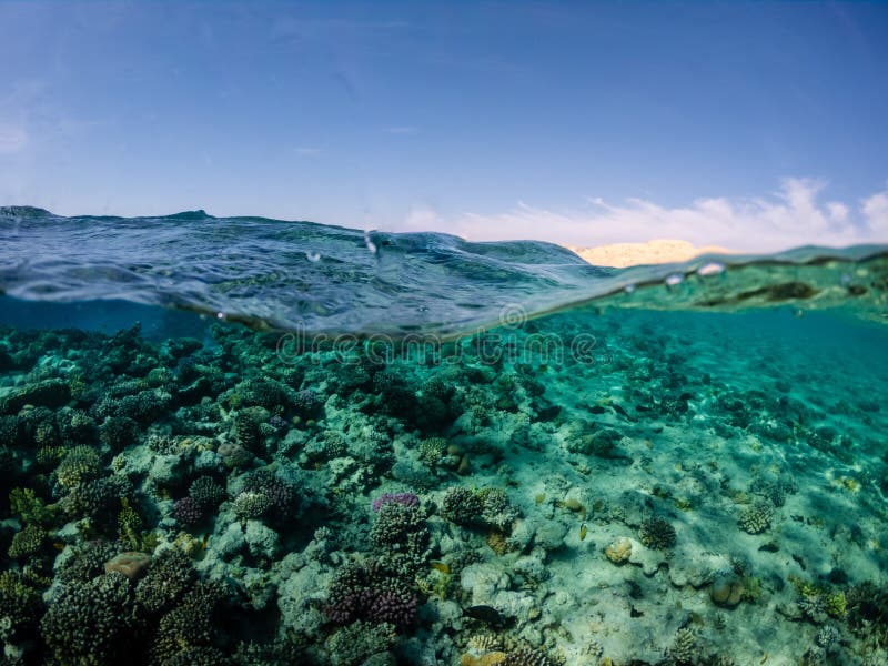 Underwater and Surface Split View on Coral Reef in Exotic Sea Stock ...