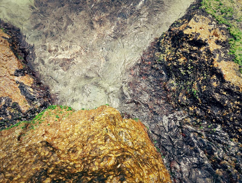 Underwater Ground Texture