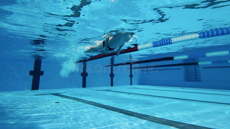 Underwater Training Process of a Professional Swimmer Stock Video ...