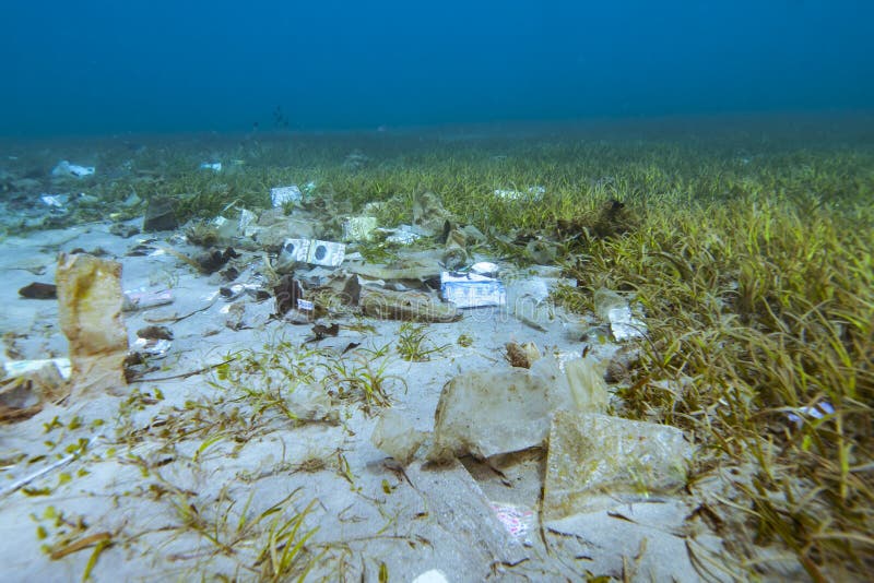 Underwater Trash Plastic Pollution Stock Image - Image of biology ...