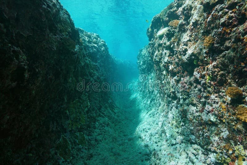 Natural Trench Underwater Sea into Coral Reef Stock Image - Image of ...