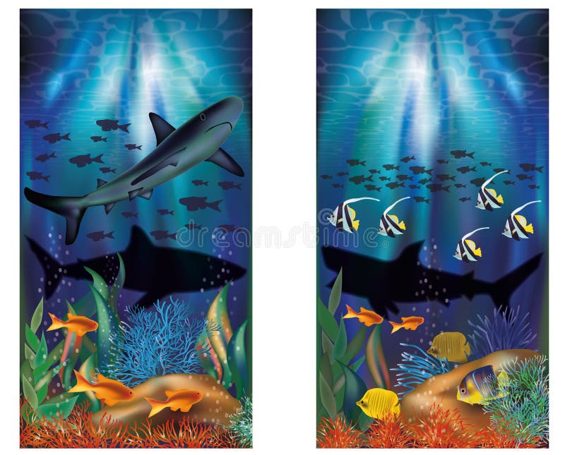 Underwater Tropical Banners Shark Stock Vector - Illustration of lagoon ...