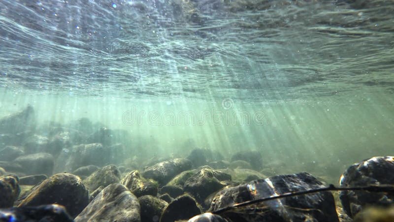 Underwater Video of a Stream with Stones and Sunbeams in Flowing Water ...