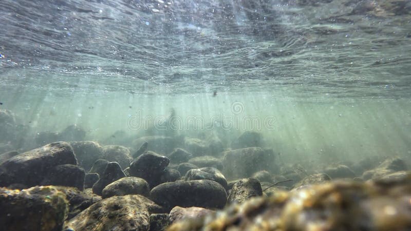 Underwater Video of a Stream with Stones and Sunbeams in Flowing Water ...