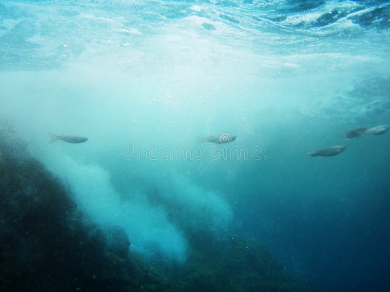 Underwater view stock photo. Image of adventure, dramatic - 10818274