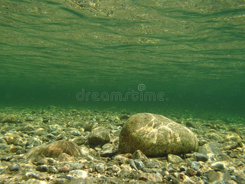 1,434 Algae Rocks Underwater Stock Photos - Free & Royalty-Free Stock ...