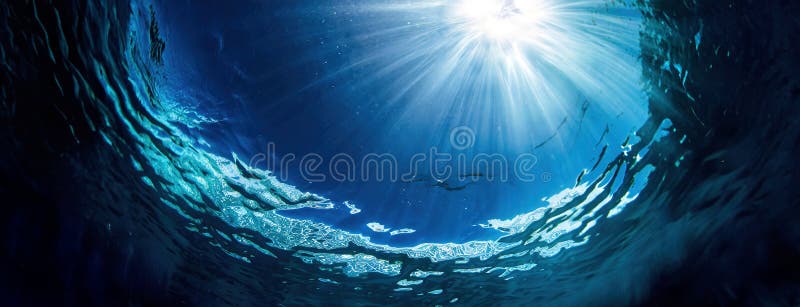 Underwater Looking Up Stock Foto „underwater, Looking Up“ | Adobe