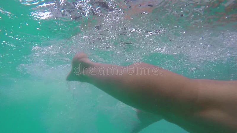 Underwater View of Man Swimming Towards the Camera. in Slow Motion ...