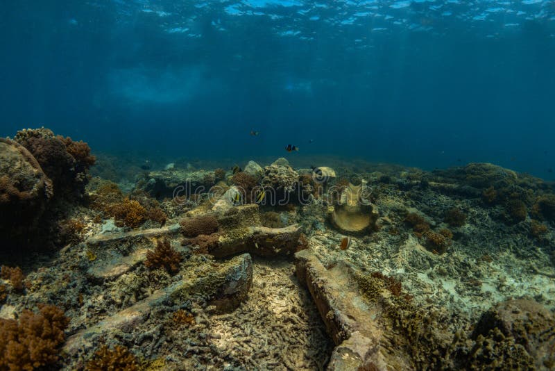Underwater view stock image. Image of ripple, relaxation - 147271919