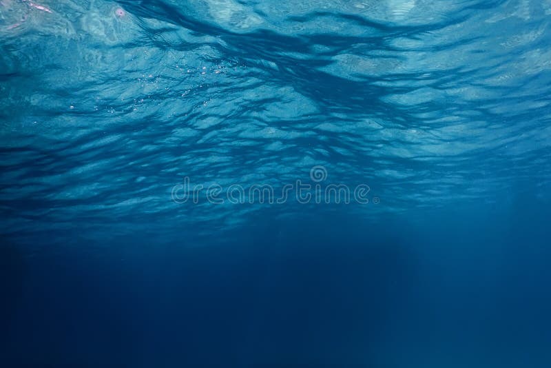 Underwater View of the Sea Surface Stock Image - Image of sunlight ...