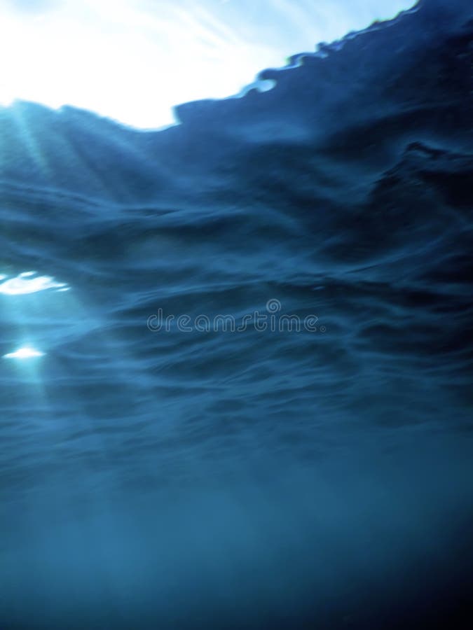 Underwater View of the Coral Reef, Tropical Waters Stock Image - Image ...