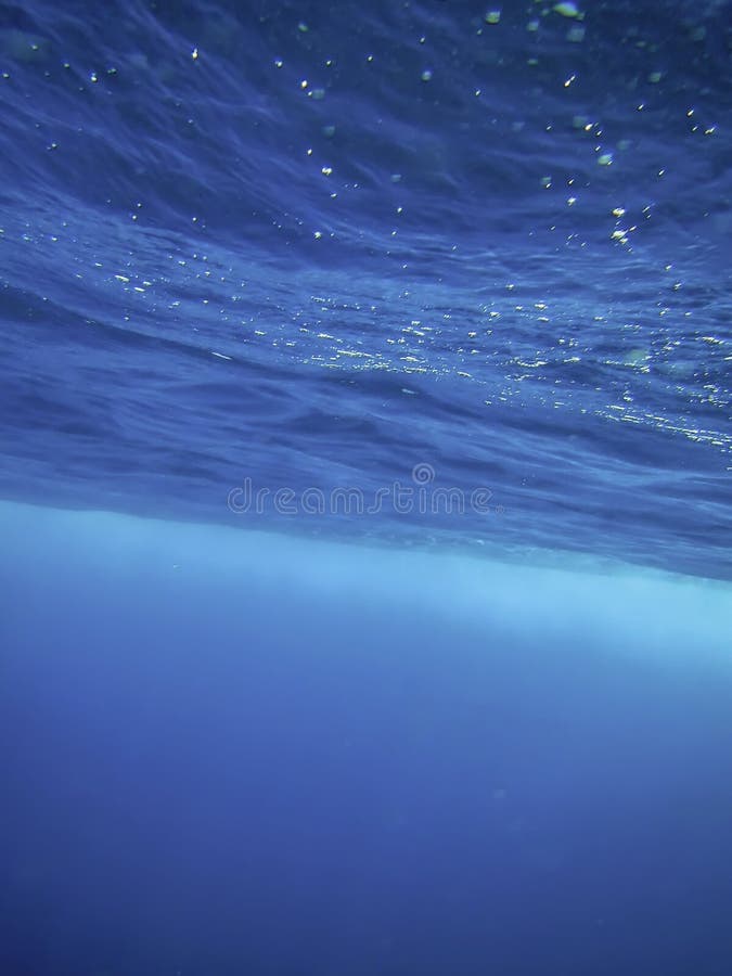 Underwater View of the Coral Reef, Tropical Waters Stock Image - Image ...