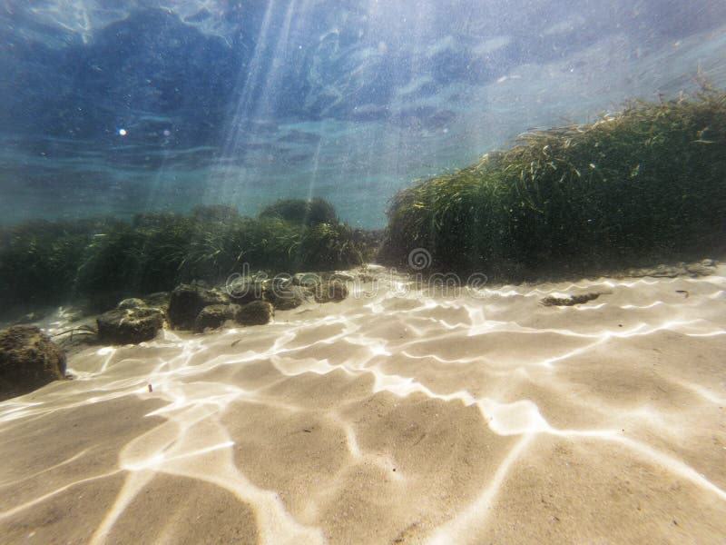 Underwater View with Some Rocks, Moss and Sand Stock Image - Image of ...