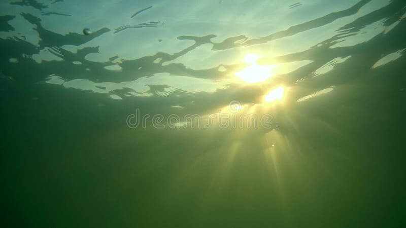 Sunlight Rays Shining through Ocean Surface. View from Underwater Stock ...