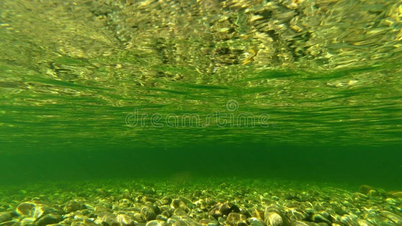 Underwater View of the Transparent Flow of the Bottom of a Mountain ...