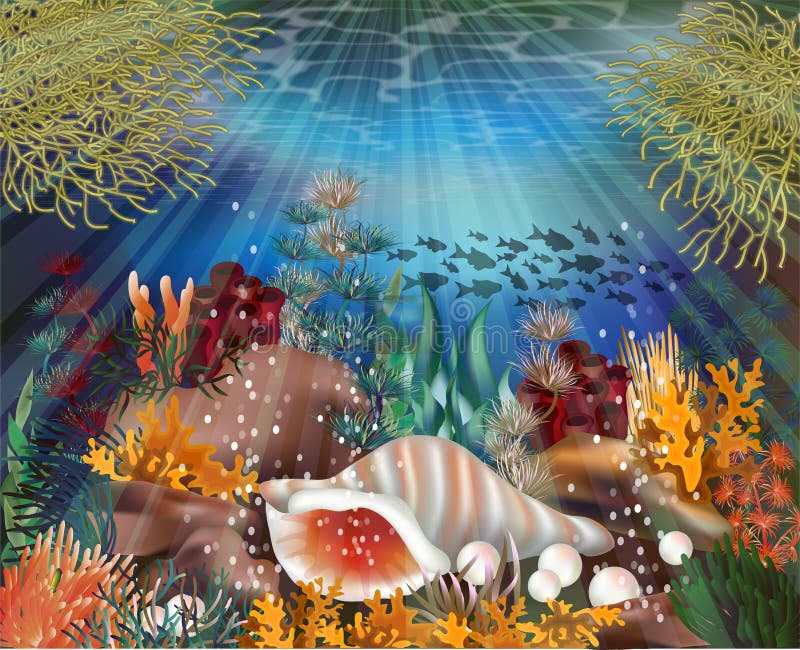 Underwater Wallpaper with Conch Shell, Vector Stock Vector ...