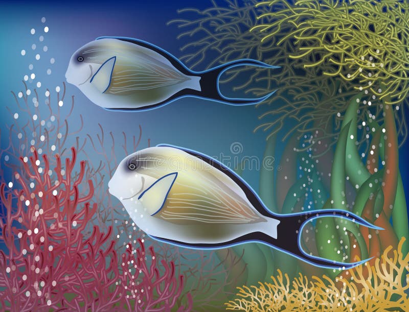 Underwater Wallpaper with Surgeon-fish Stock Vector - Illustration of ...
