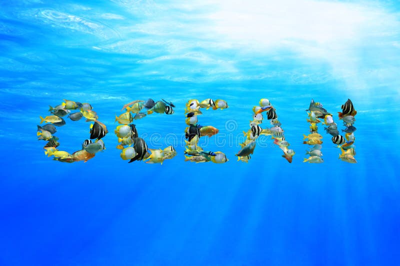 Underwater Word OCEAN Composed from Fish Stock Image - Image of fishes ...