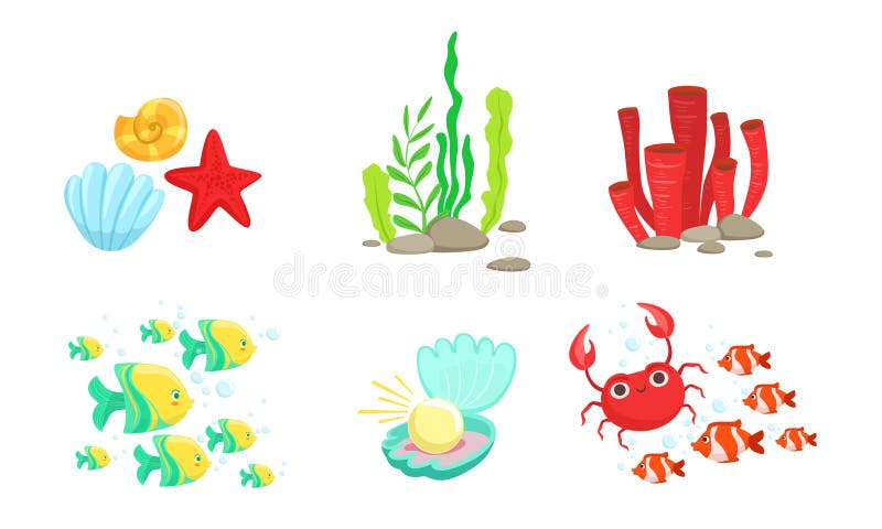 Underwater World Elements Set, Tropical Fishes, Algae, Corals, Crabs ...