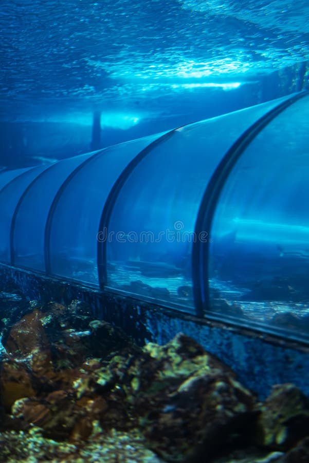 Underwater world stock image. Image of park, shark, architecture ...