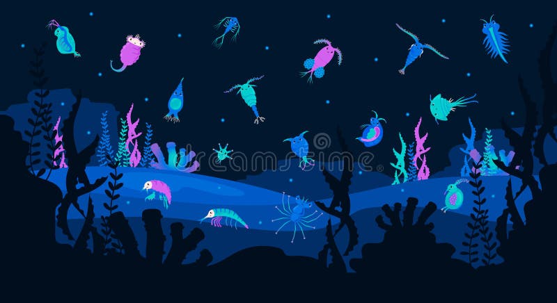 Plankton Underwater World Banner or Poster Design Flat Vector ...