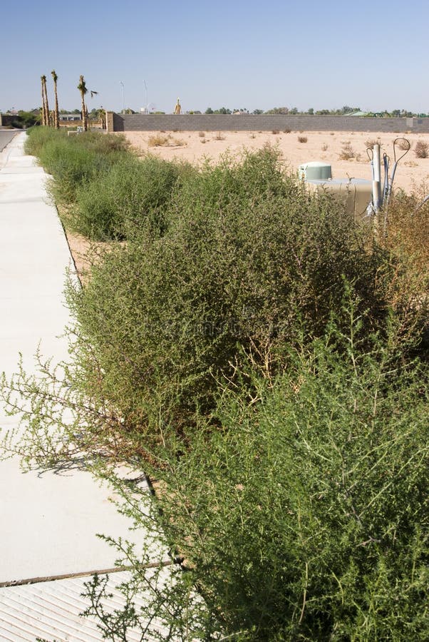 Undeveloped lots stock image. Image of home, residential - 7337595