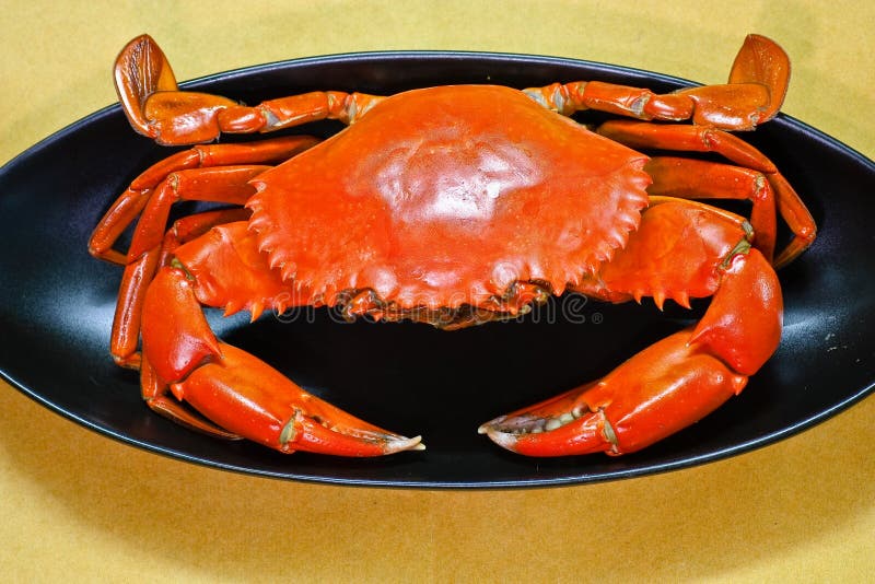 Steamed crab stock photo. Image of boiled, crustacean - 30266456