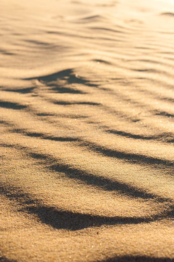 Undulated sand stock image. Image of undulated, beach - 21633179