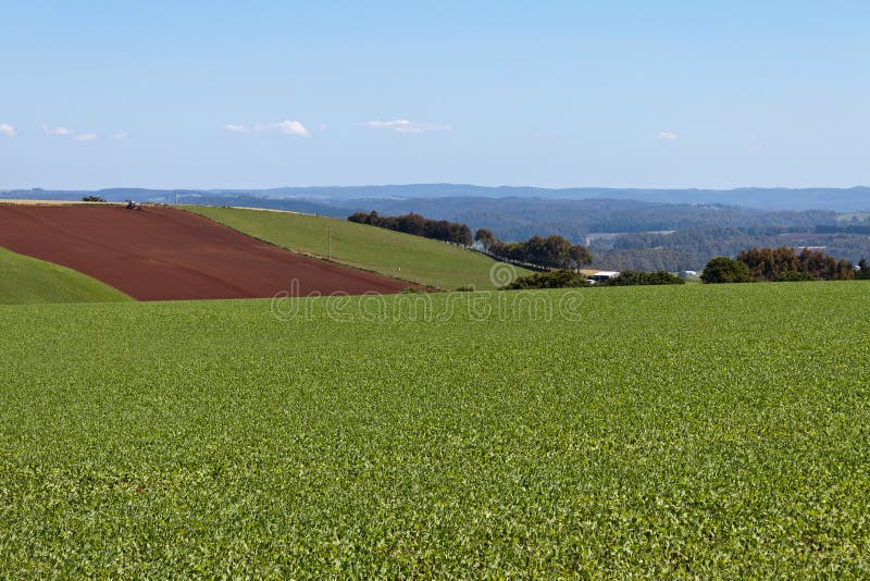 Undulating farm fields stock image. Image of work, grow - 23659495